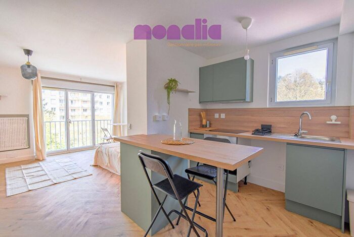 Appartement à louer - Centre Nord, Oullins-Pierre-Bénite - 1 pièce