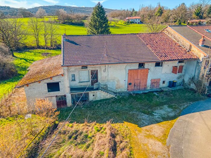 Maison à vendre - Bohas-Meyriat-Rignat - 10 pièces - 2 chambres