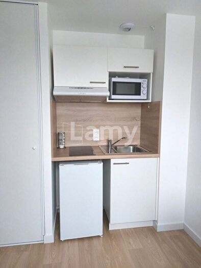 Appartement à louer - Fiacre-Chenault, Orléans - 1 pièce