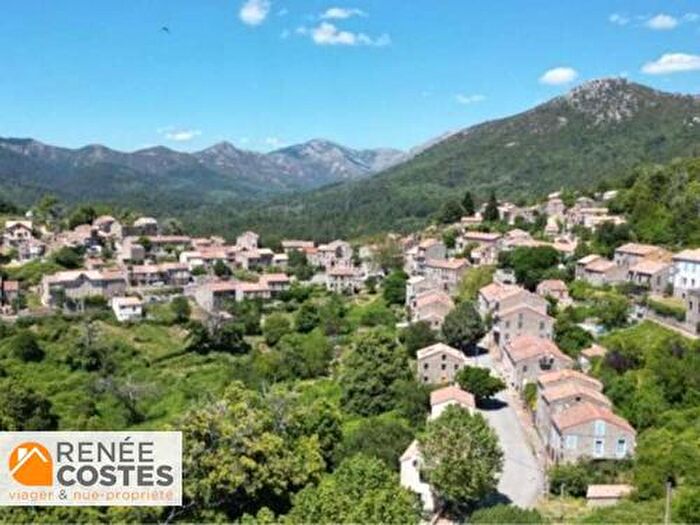 Maison à vendre - Aullène - 4 pièces - 4 chambres