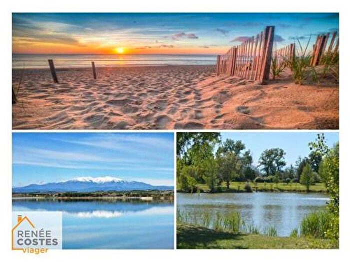 Maison à vendre - Canet-en-Roussillon, Route de Saint-Nazaire, Les Fontaines, Etang - 3 pièces - 2 chambres