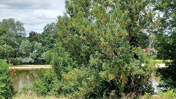Maison à vendre - Amboise - 7 pièces - 4 chambres