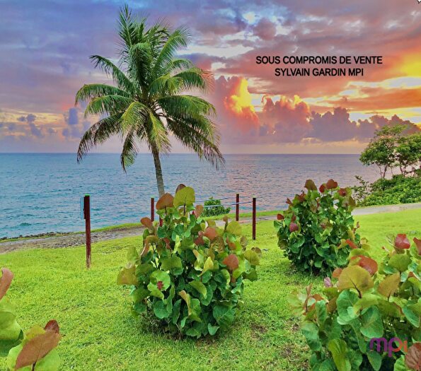 Appartement à vendre - Sainte-Luce - 1 pièce