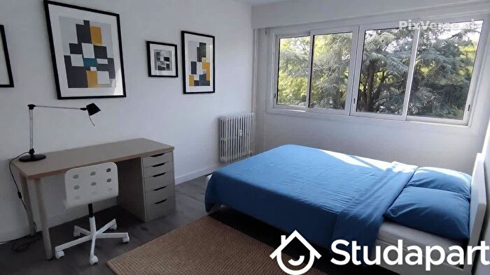 Appartement à louer - Grand Pigeon-Deux Croix-Banchais, Angers - 1 pièce - 4 chambres