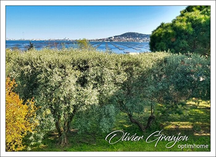 Maison à vendre - Bouzigues - 8 pièces - 5 chambres