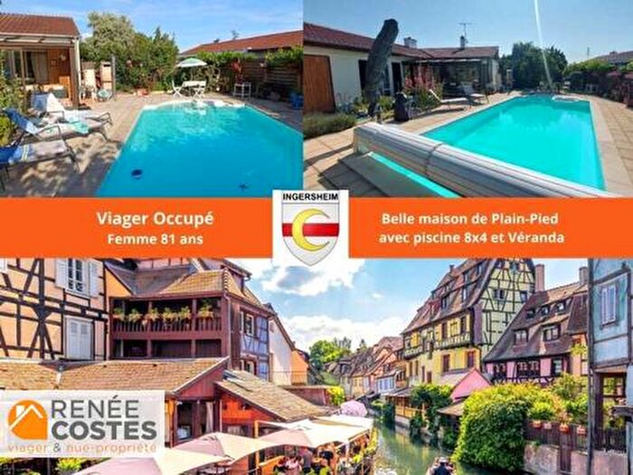 Maison à vendre - Ingersheim - 6 pièces - 3 chambres