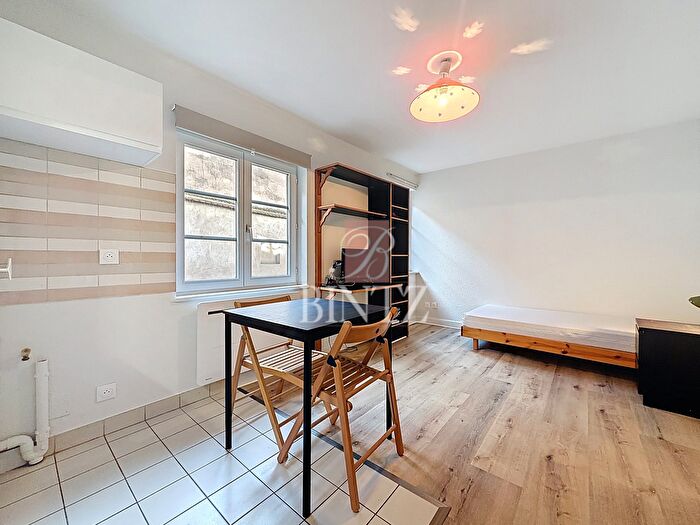 Appartement à louer - Strasbourg, Krutenau - 1 pièce