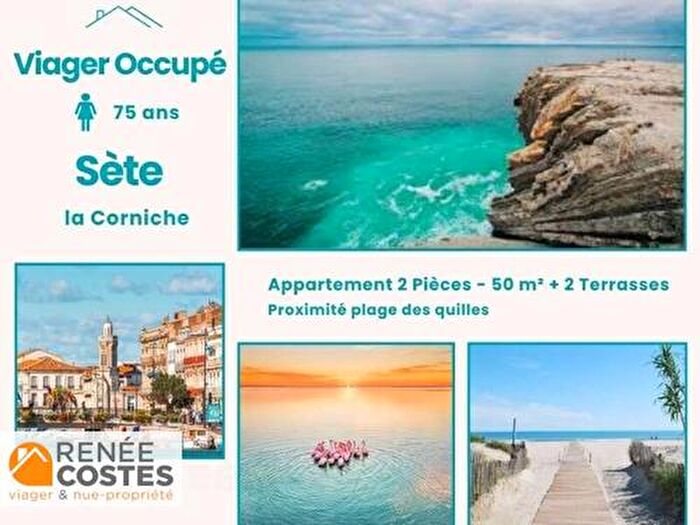 Appartement à vendre - Sète, Saint-Clair - 2 pièces - 1 chambre