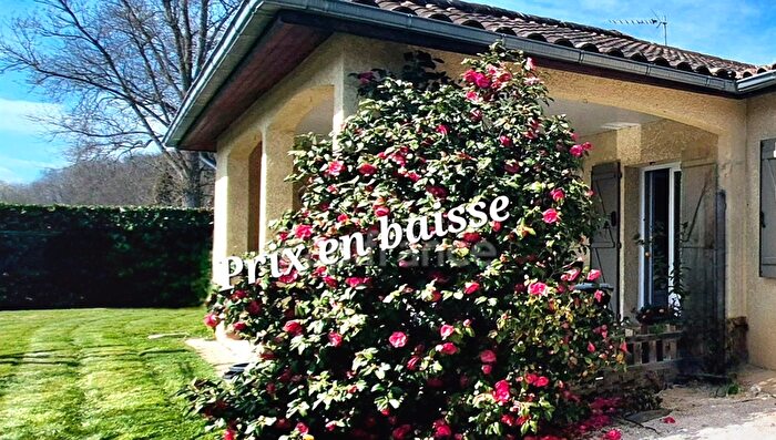 Maison à vendre - Villeneuve-de-Rivière - 6 pièces - 5 chambres