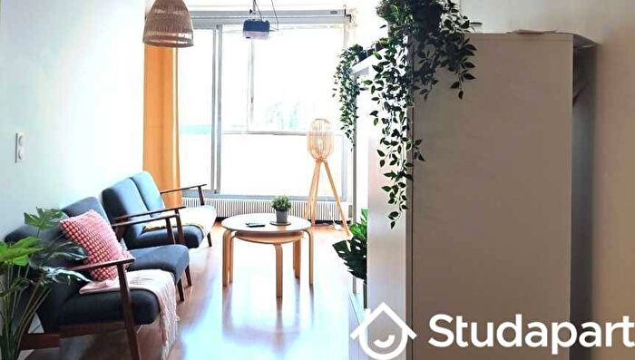 Bonnevay, La Soie, Les Brosses, Villeurbanne : Appartement 1 pièce à louer