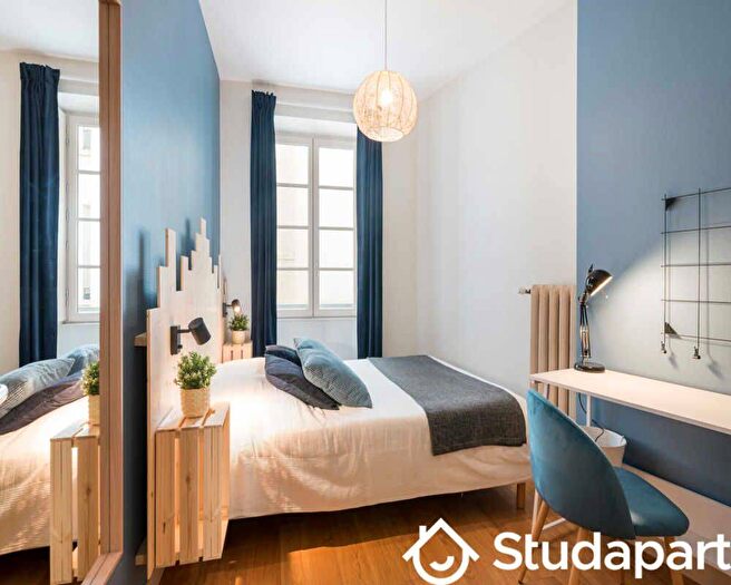 Presqu'île, Centre ville, Cordeliers, Lyon 2ème arrondissement : Appartement 1 pièce à louer