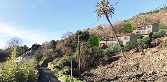 Maison à vendre - Cervione - 5 pièces - 4 chambres