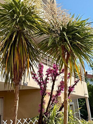 Appartement à vendre - Carcassonne, Saint-Jacques, Prat Mary, Viguier - 2 pièces - 1 chambre