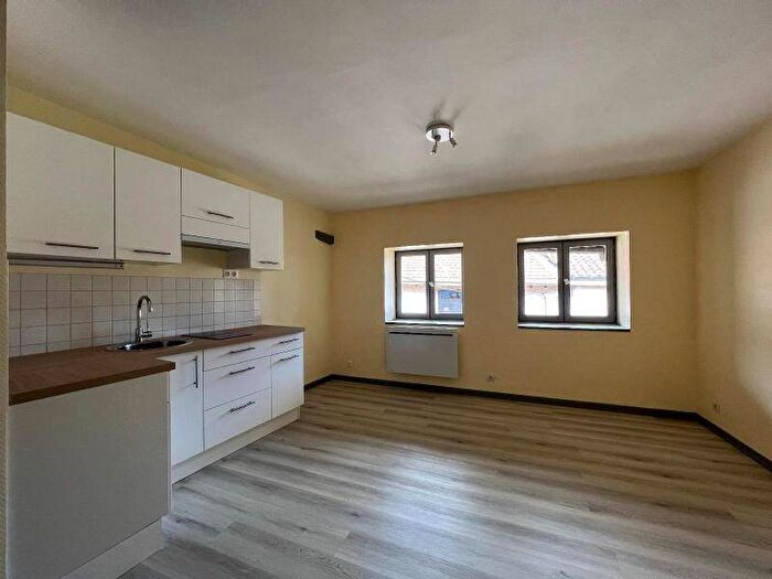 Sain-Bel : Appartement 1 pièce à louer