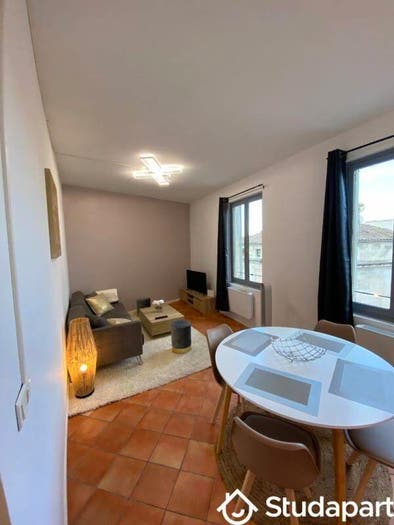 Zone Pietonne, Avignon - Appartement 2 pièces à louer