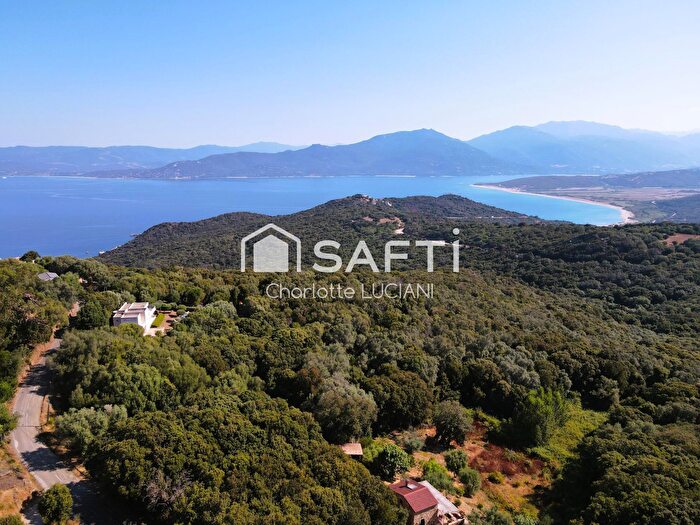 Maison à vendre - Belvédère-Campomoro - 6 pièces - 4 chambres