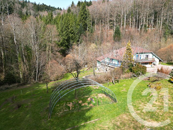 Maison à vendre - Ban-de-Sapt - 12 pièces - 7 chambres