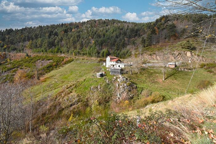 Maison à vendre - Rochepaule - 5 pièces