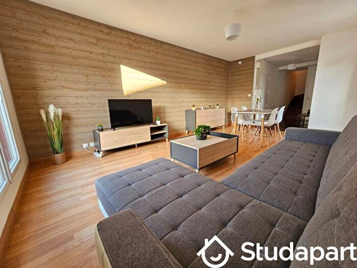 Appartement à louer - Lac de Maine-Molière, Angers - 1 pièce - 1 chambre