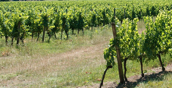 Maison à vendre - Lalande-de-Pomerol - 8 pièces - 4 chambres