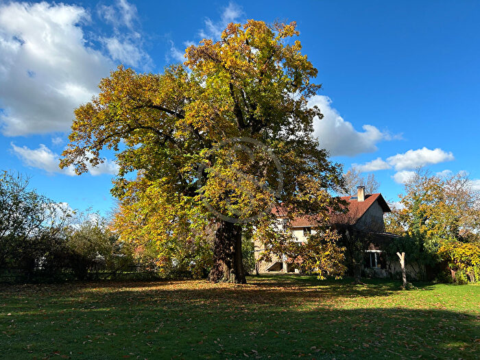 Maison à vendre - Saint-Siméon-de-Bressieux - 9 pièces - 7 chambres