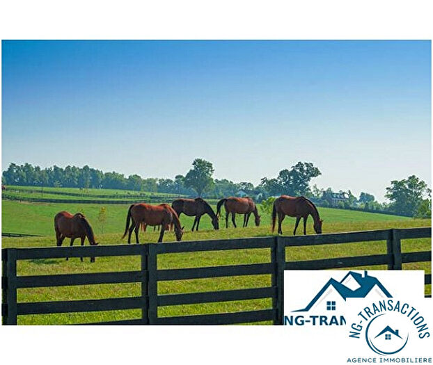 Maison à vendre - Tannerre-en-Puisaye - 6 pièces - 5 chambres