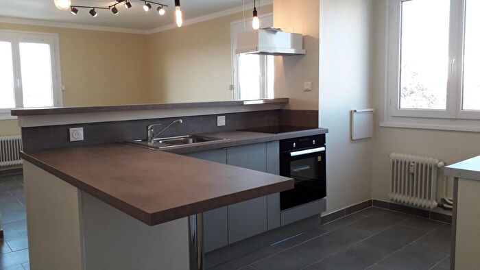 Roanne, Halage : Appartement 2 pièces à louer
