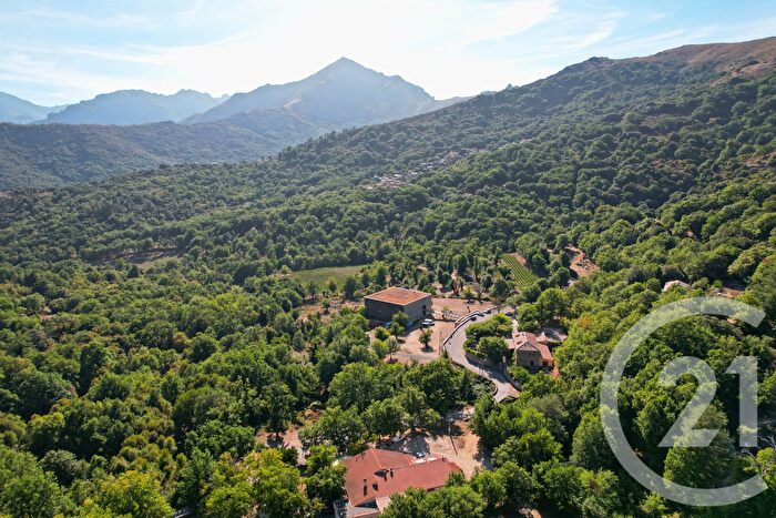 Maison à vendre - Pioggiola - 10 pièces - 5 chambres