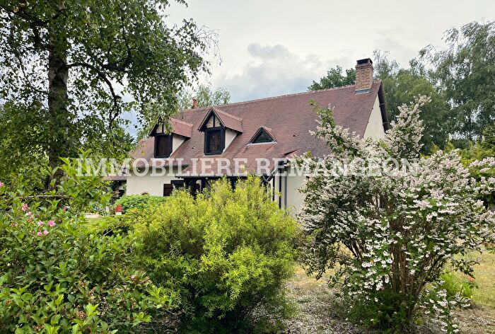 Maison à vendre - Nouan-le-Fuzelier - 6 pièces - 4 chambres