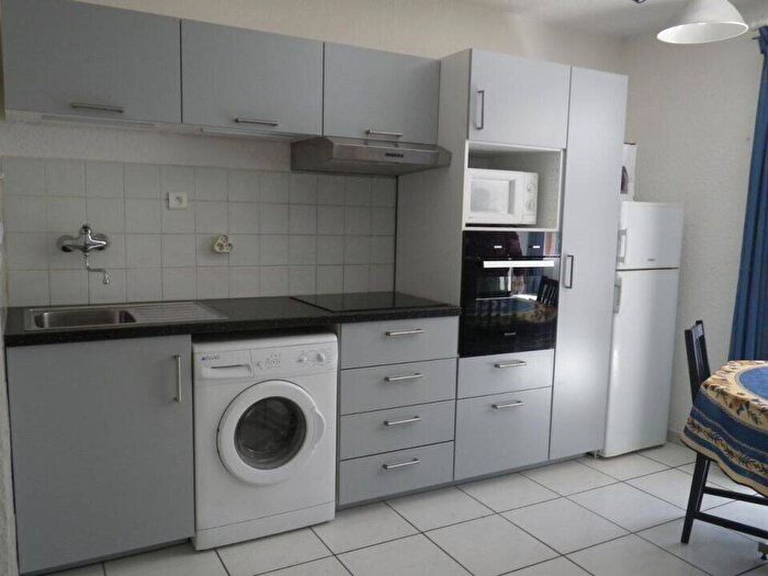 Mas de la Capelière-Sambuc-Palunette-Saint Seren, Arles - Appartement 2 pièces à louer