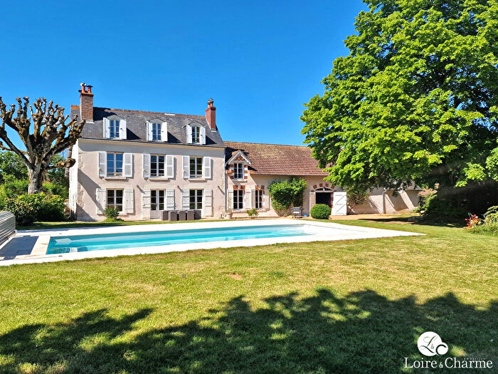 Maison 10 pièces à vendre à Chouzy-sur-Cisse