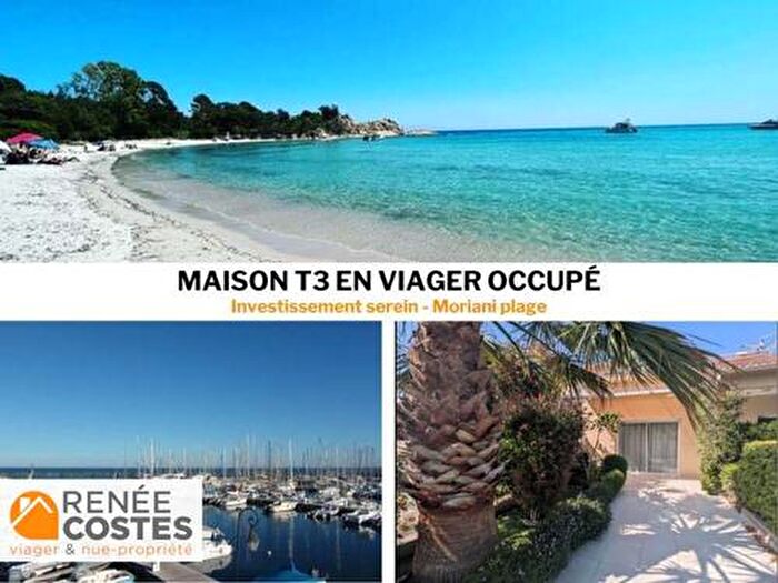 Maison 3 pièces à San-Nicolao, à vendre