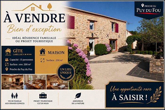 Les Herbiers, Centre-ville, Le Grand Fief - Maison 11 pièces à vendre