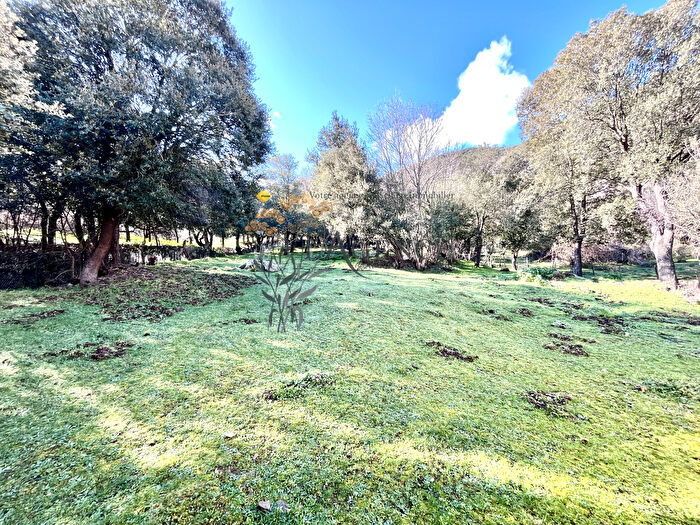 Maison à vendre - Castifao - 5 pièces - 4 chambres