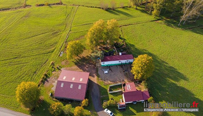 Maison à vendre - Wisembach - 3 pièces - 1 chambre