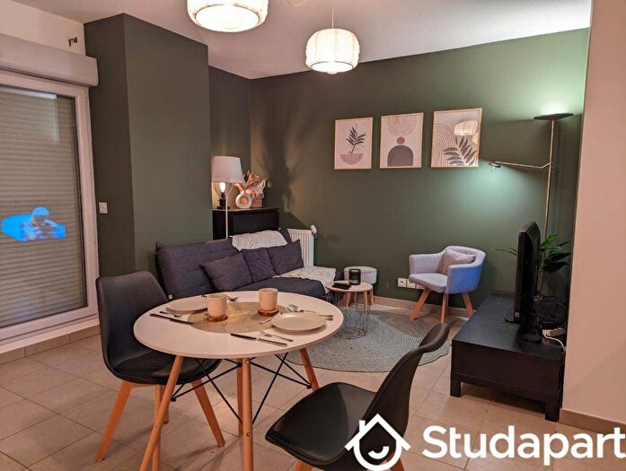 Appartement à louer - Bonnevay, La Soie, Les Brosses, Villeurbanne - 1 pièce - 2 chambres