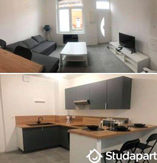 Bois Blanc, Lille - Appartement 1 pièce à louer