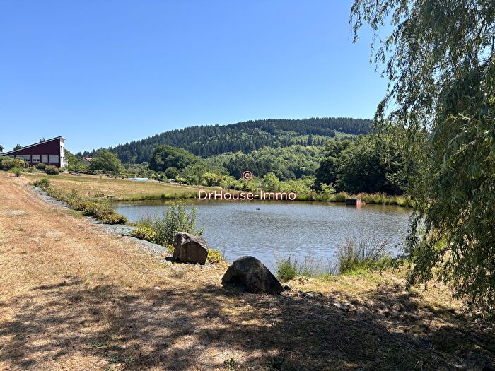 Maison à vendre - Sainte-Feyre - 9 pièces - 4 chambres