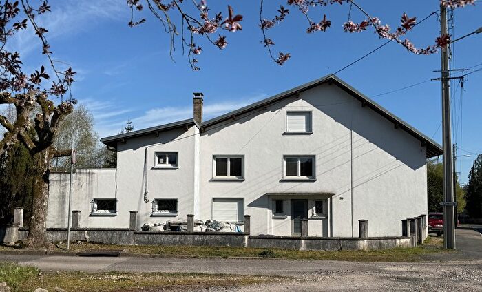 Cirey-sur-Vezouze : Maison 7 pièces à vendre