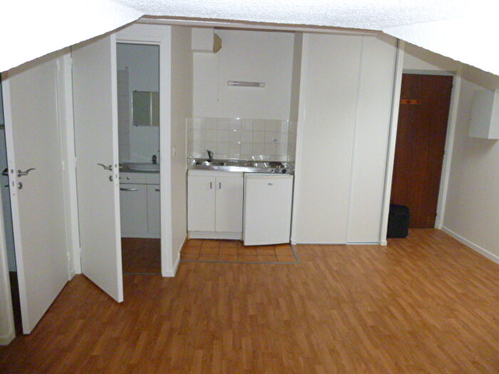 Appartement à louer - Tournefeuille, Centre-ville, Château - 1 pièce