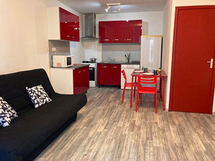 Appartement à louer - Romans-sur-Isère - 1 pièce