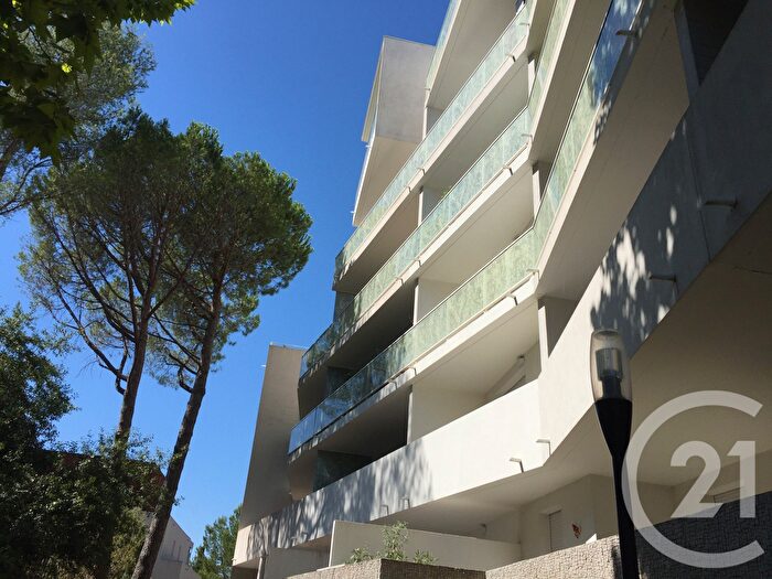 Appartement 1 pièce à louer à Montpellier, Aiguelongue