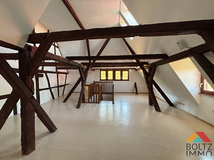 Appartement 4 pièces à louer à Dambach-la-Ville