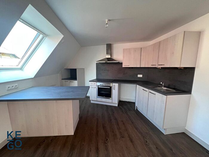 Appartement à louer - Schiltigheim, Brasserie Fischer, Mont des Alouettes - 3 pièces - 2 chambres