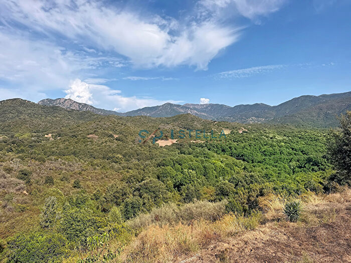 Maison 4 pièces à vendre - Sant'Andréa-d'Orcino