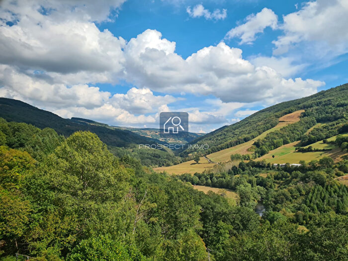 Maison à vendre - Saint-Geniez-dOlt - 4 pièces - 3 chambres
