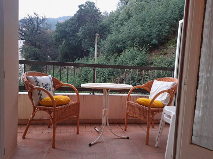 Appartement à vendre - Amélie-les-Bains-Palalda - 1 pièce