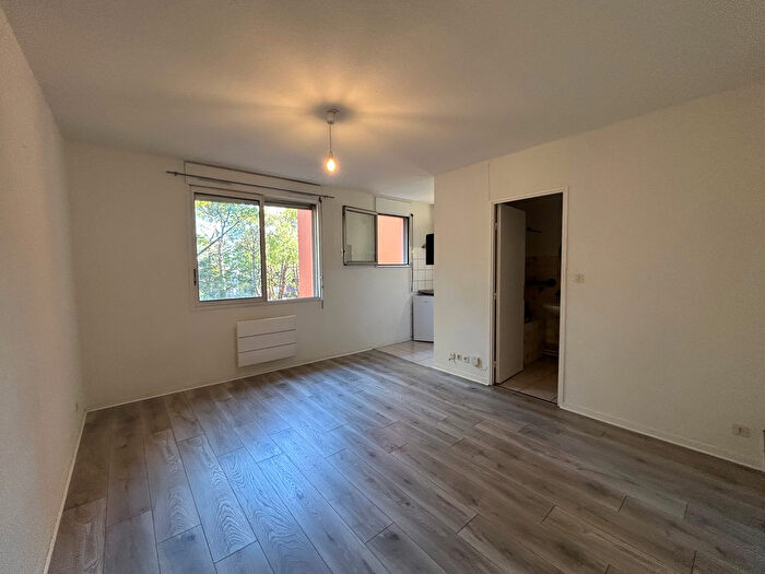 Toulouse, Le Raisin : Appartement 1 pièce à louer