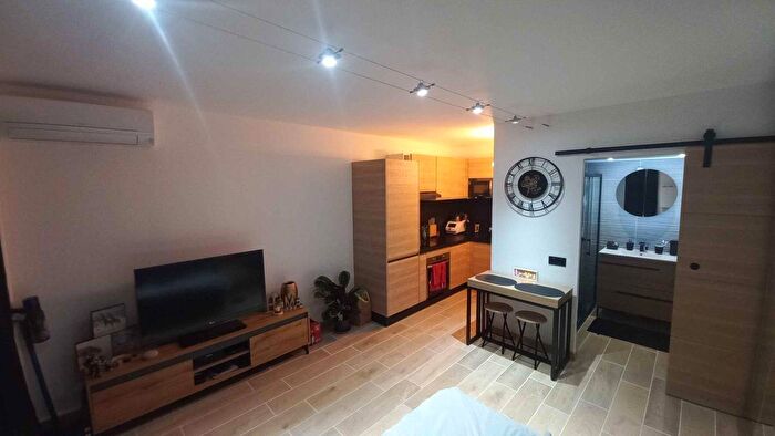 Appartement à louer - Le Grimond-Plateaux Fleuris-Valliere, Saint-Laurent-du-Var - 1 pièce