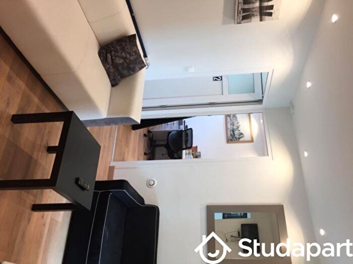 Appartement à louer - Le Clos du Luxembourg-Centre Ville, Bourg-la-Reine - 1 pièce - 1 chambre